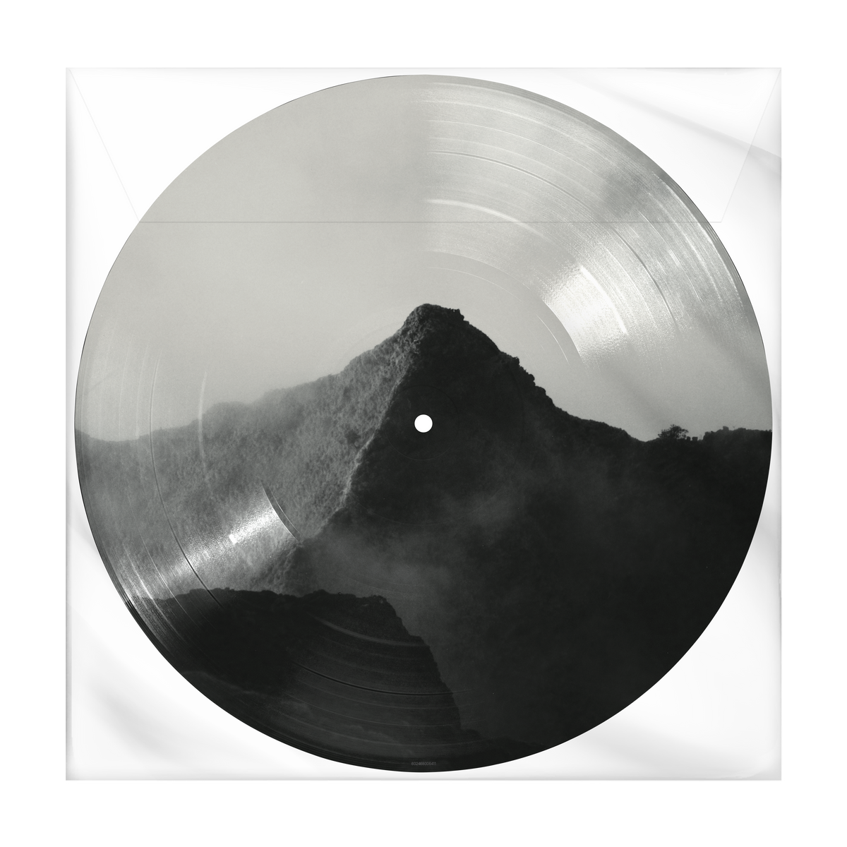 Picture Disc - UMUSIC Shop Canada